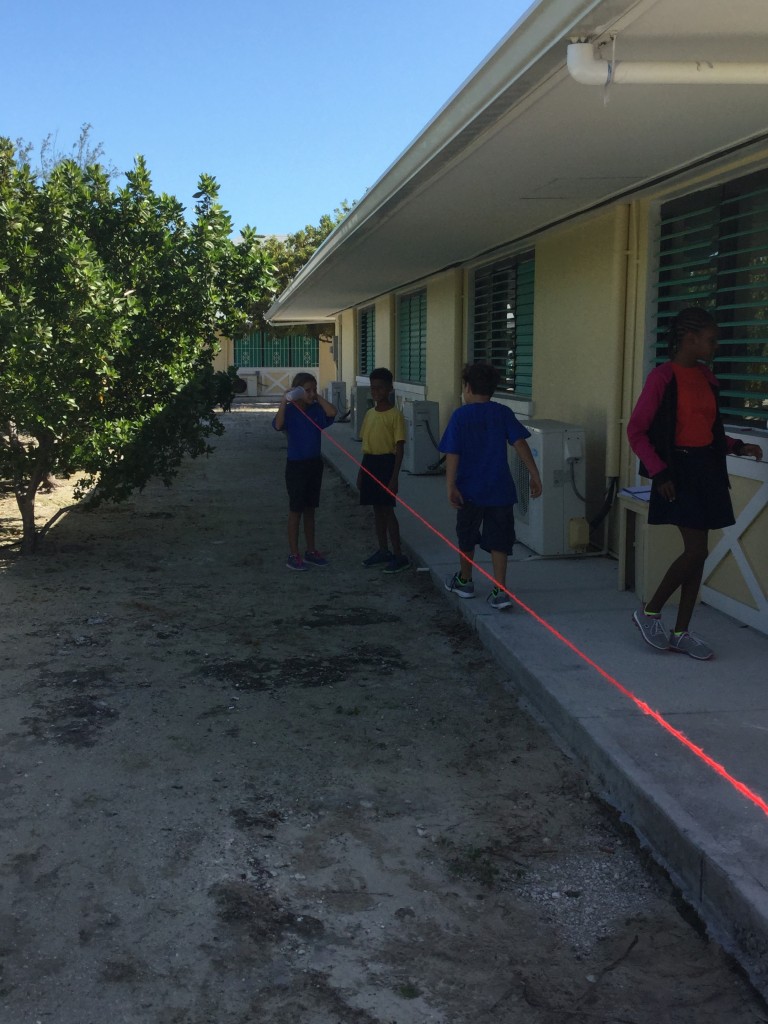 Practical Primary School Science Projects to get excited about ...