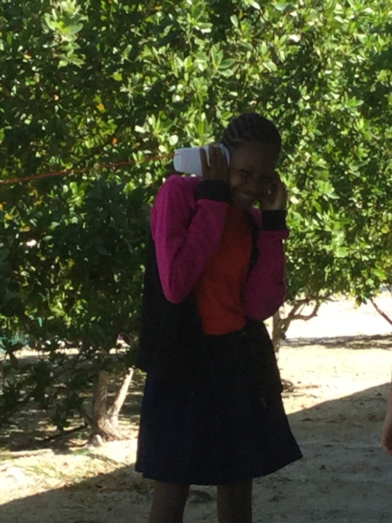 Practical Primary School Science Projects to get excited about ...