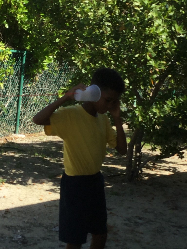 Practical Primary School Science Projects to get excited about ...