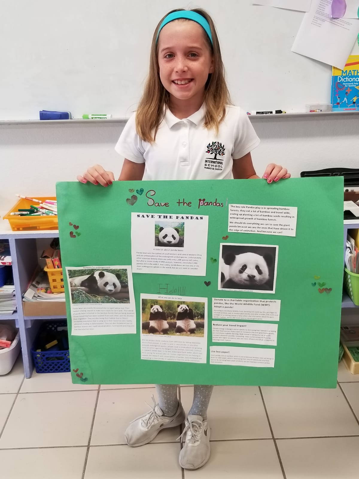 Grade 4's Endangered Animal Persuasive Writing - International School Blog
