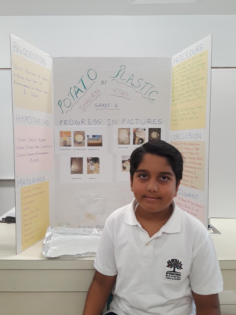 ISTCI's Science Fair 2019 - International School Blog